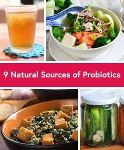 9 Natural Sources of Healthy Probiotics | Life by Daily Burn