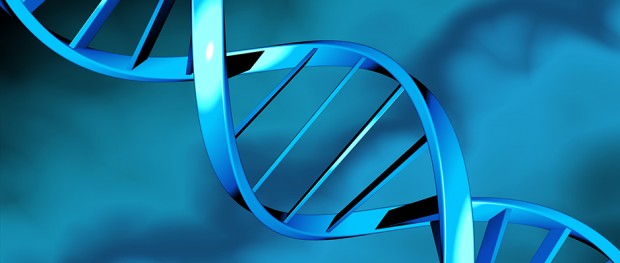 Tracking – Life by Daily Burn