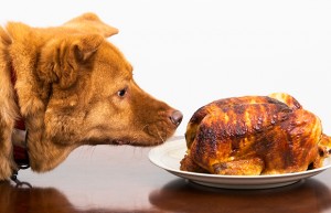 5 Fresh Ways to Use Thanksgiving Leftovers | Life by Daily Burn