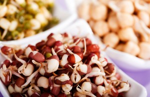 The Health Benefits of Sprouted Foods (Plus DIY Recipe) | Life by Daily ...