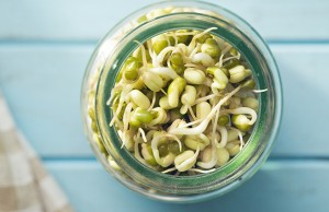 The Health Benefits of Sprouted Foods (Plus DIY Recipe) | Life by Daily ...