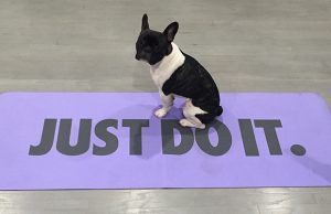 25 Workout Memes We Can Totally Relate To | Life by Daily Burn