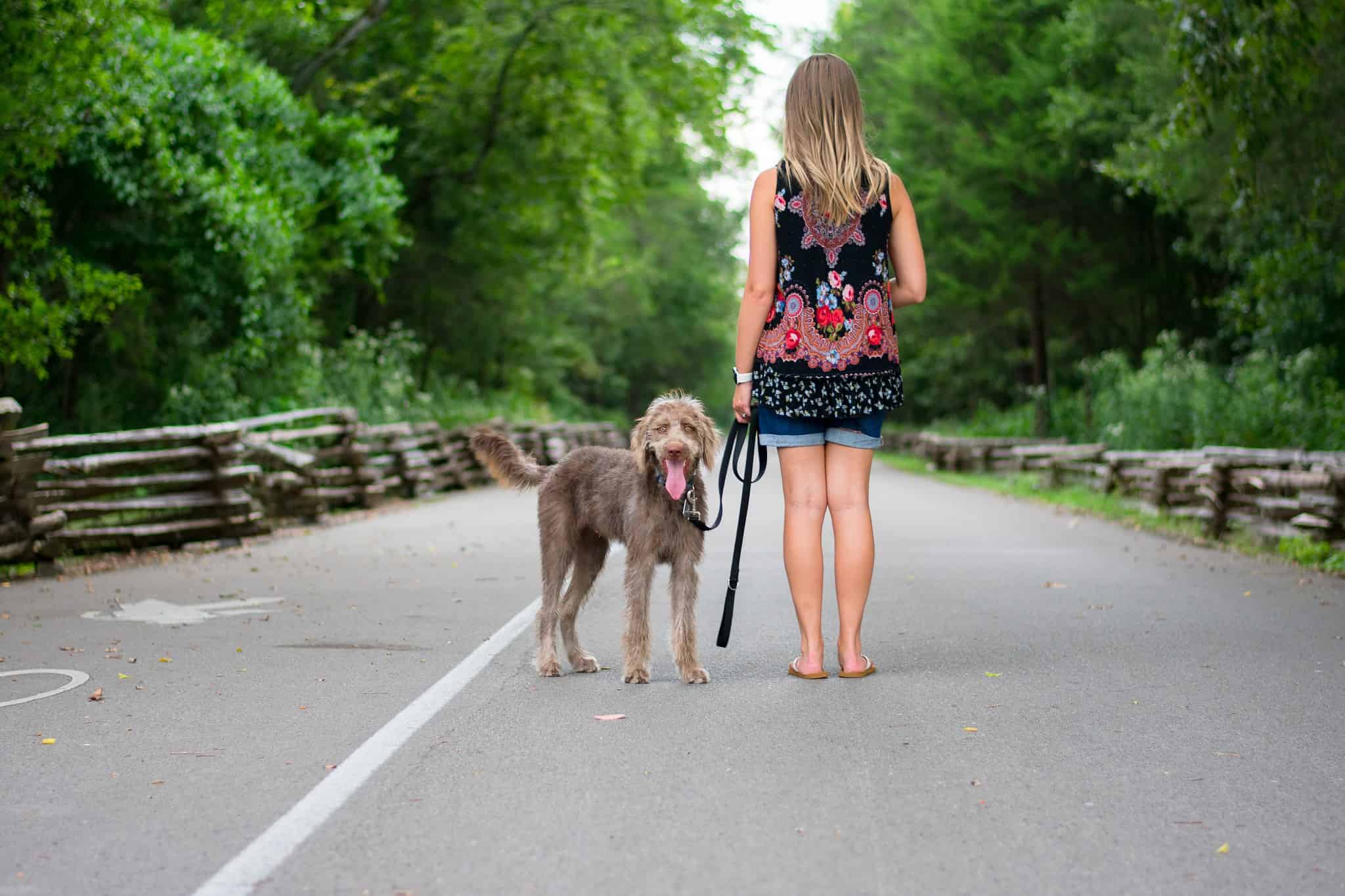 7 Meditation Techniques to Bring You Peace | Life by Daily Burn